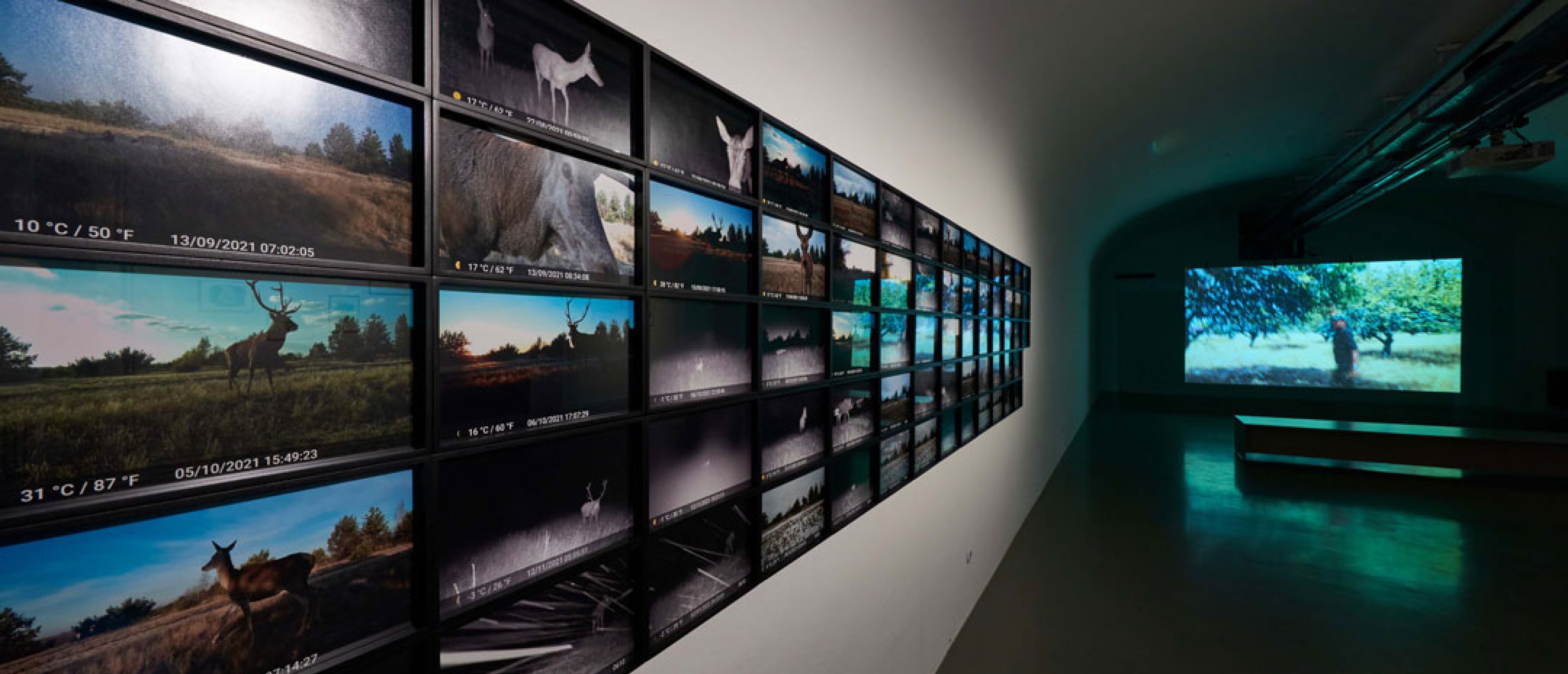 Exhibition - MAK Museum Vienna