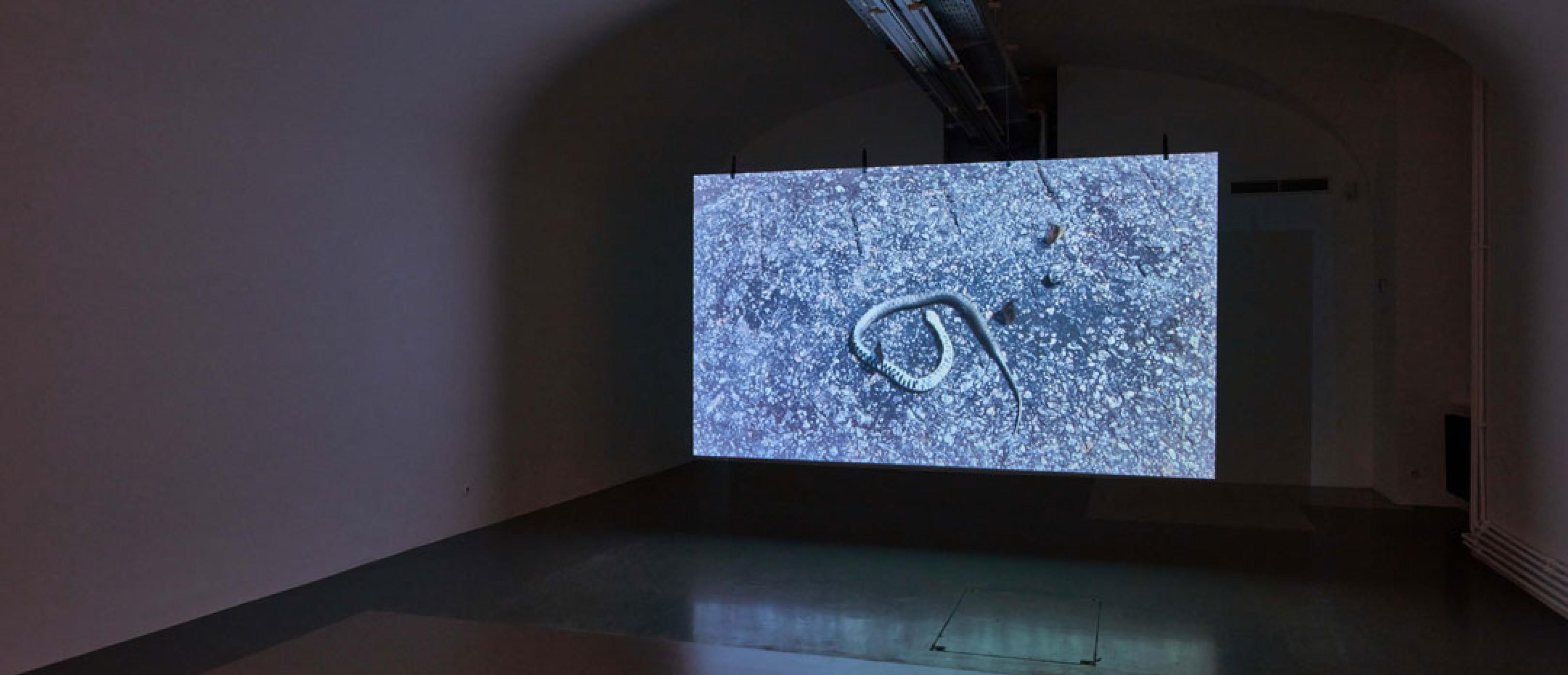 Exhibition - MAK Museum Vienna
