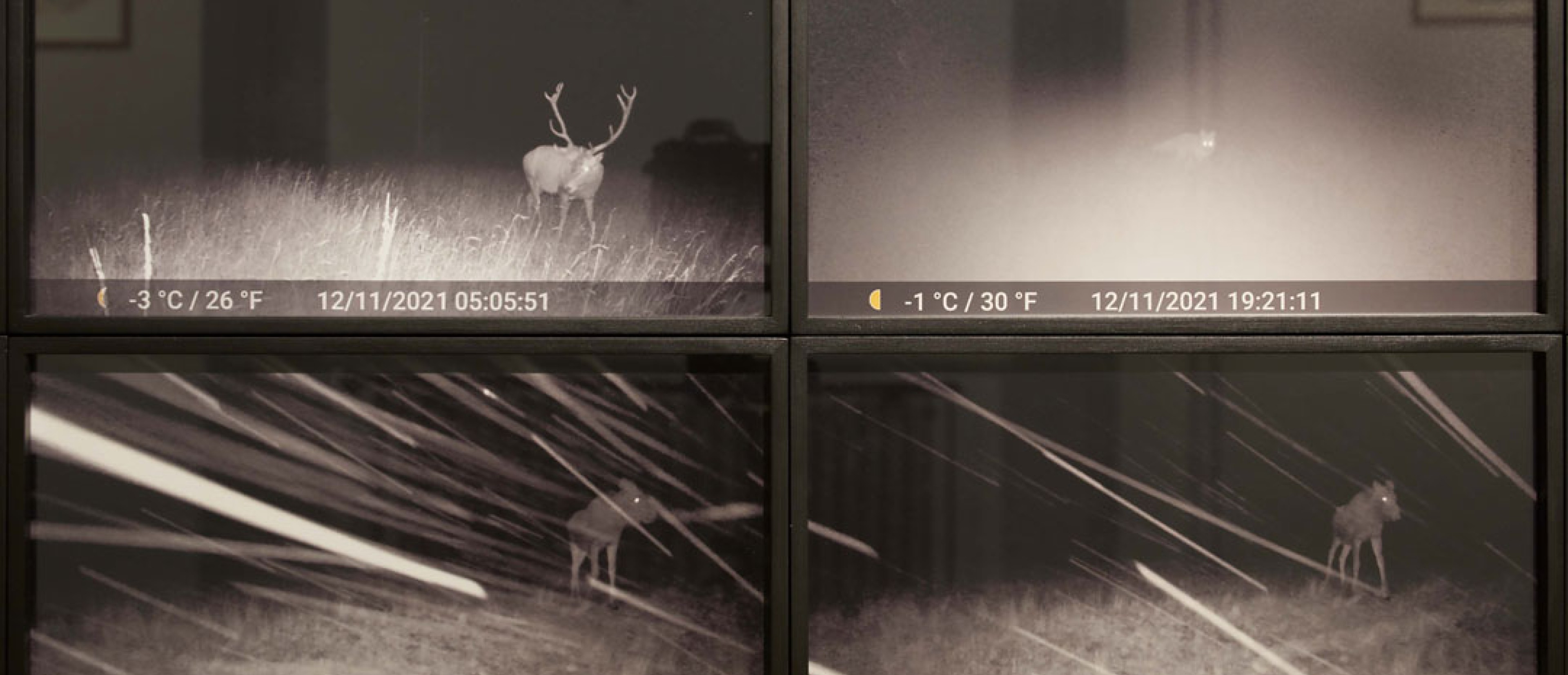 Exhibition - MAK Museum Vienna